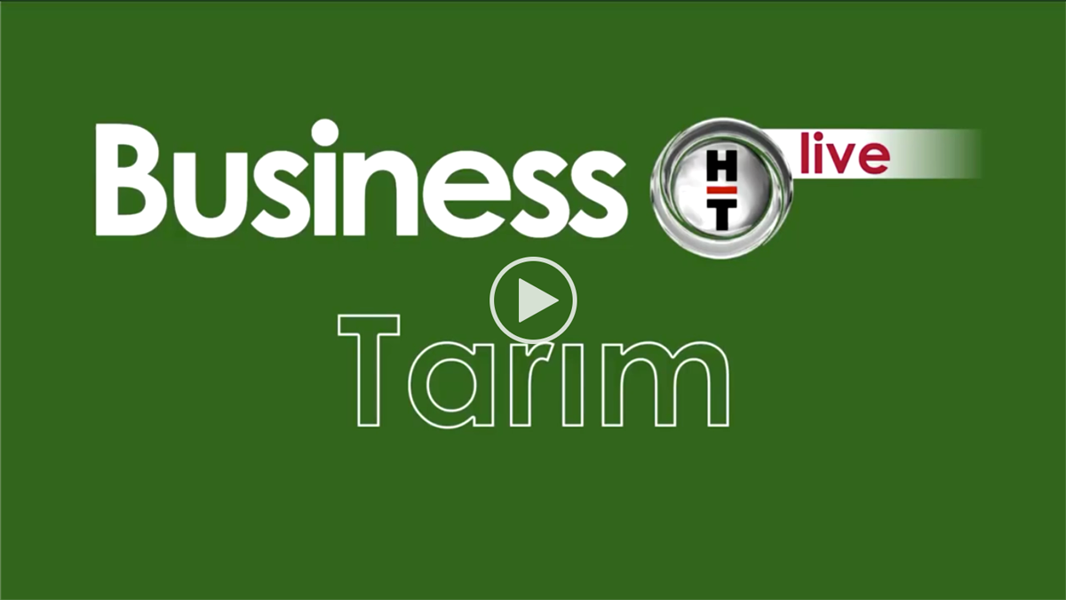 Bloomberg HT TV - Odin Financial